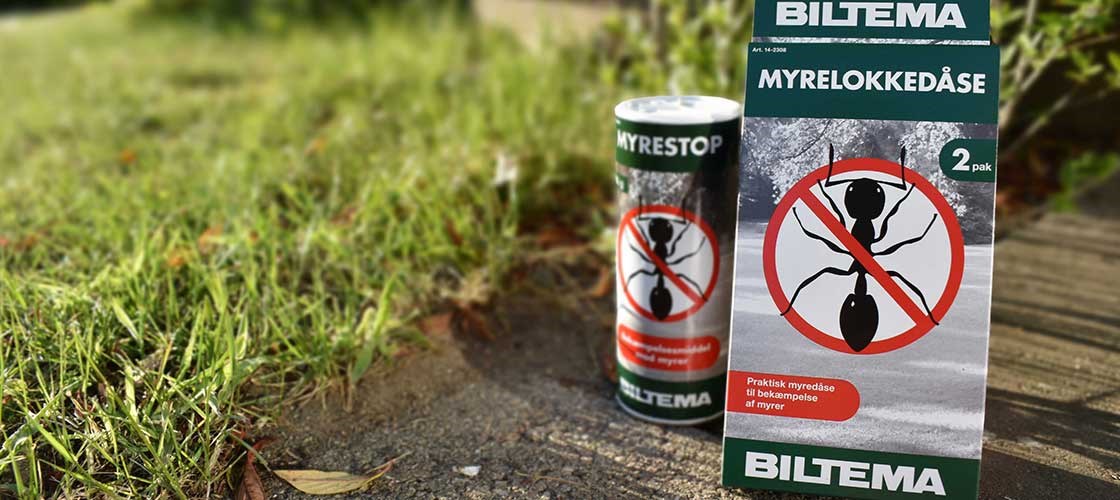 Myrer i huset - Sådan kan du let bekæmpe og forebygge - Biltema.dk